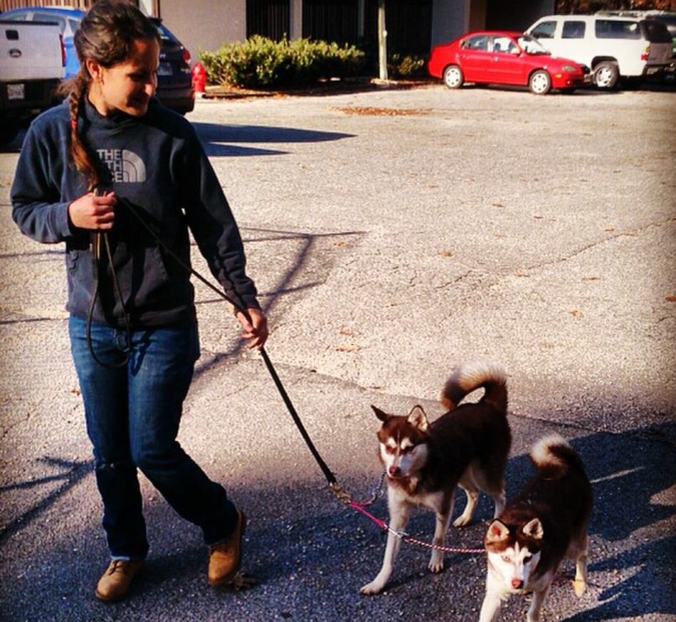 Jes – Premier Dog Training